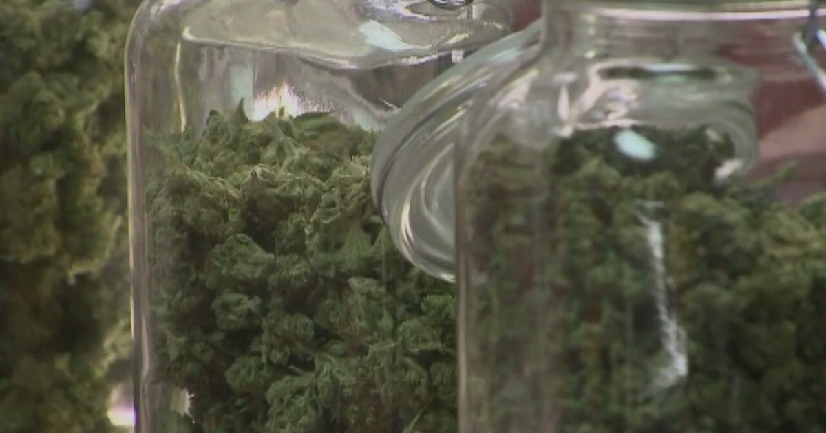 Weed-themed wedding giveaway: More than 10,000 couples apply for Metro ...
