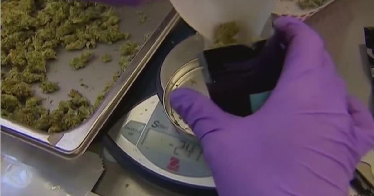 Detroit's legacy residency rule for new pot shops faces lawsuit ...
