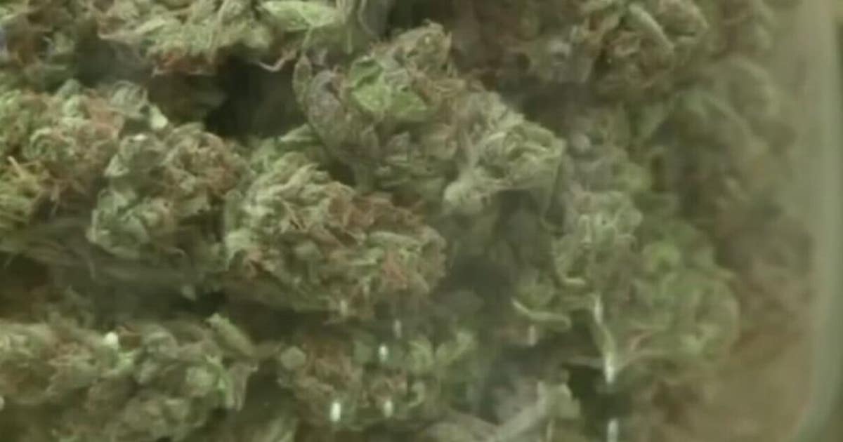 Michigan marijuana company cites 24% tax as a reason for closing ...