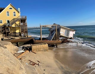 reaction to beach house