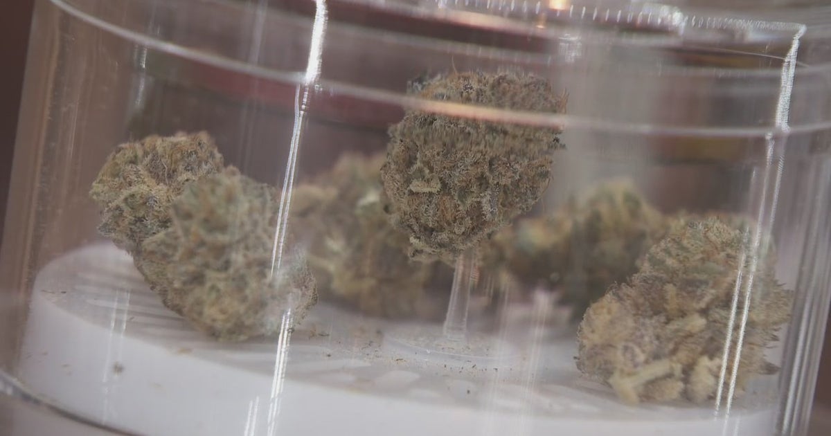 Detroit marijuana business licenses now up for grabs with application ...