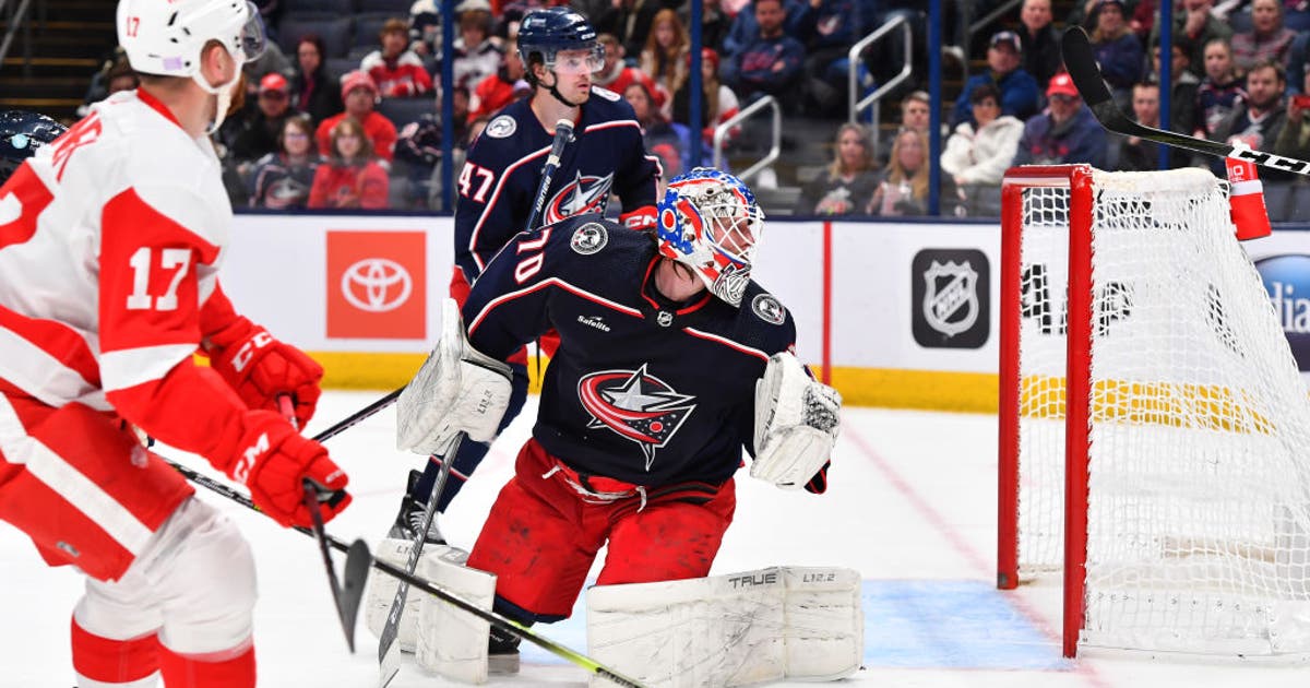 Hronek scores twice to lead Red Wings over Blue Jackets 6-1 | FOX 2 Detroit