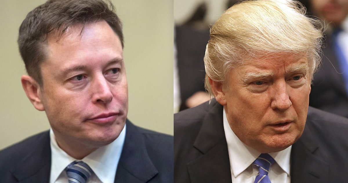 Musk reinstates Trump's Twitter account after holding online vote | FOX ...