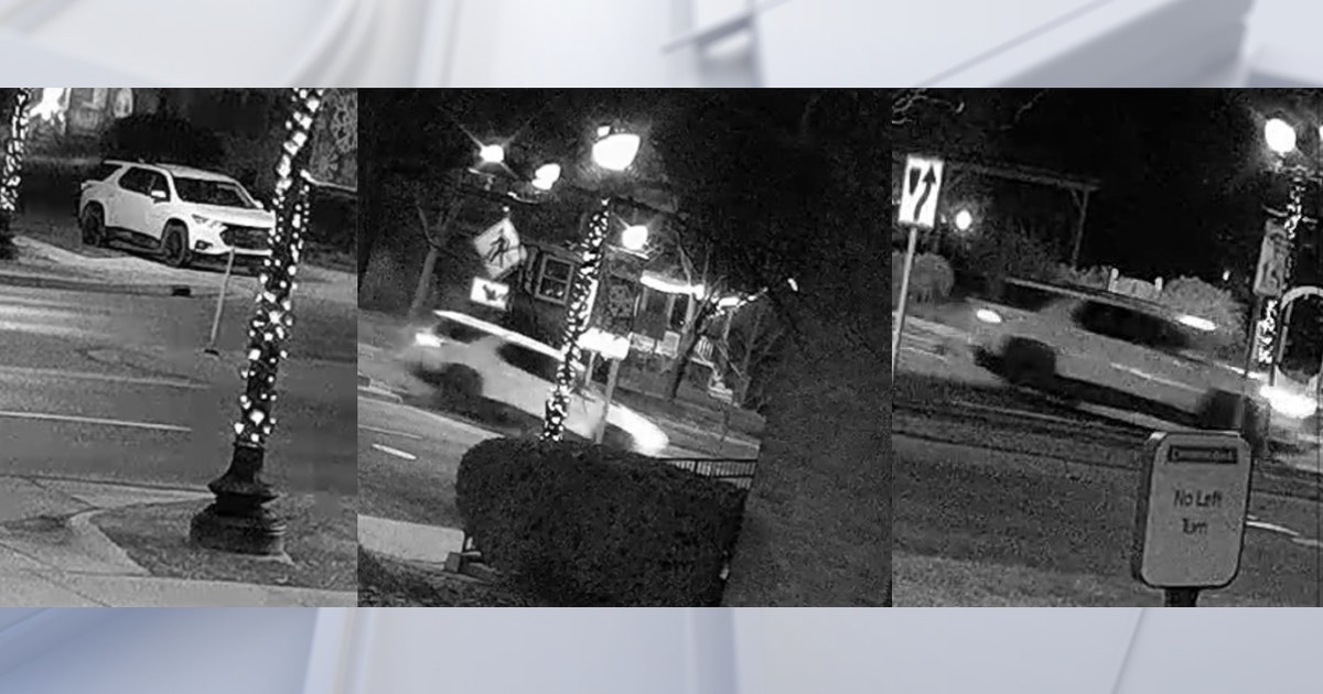 Saline police looking for wrong-way driver who jumped curb, hit ...