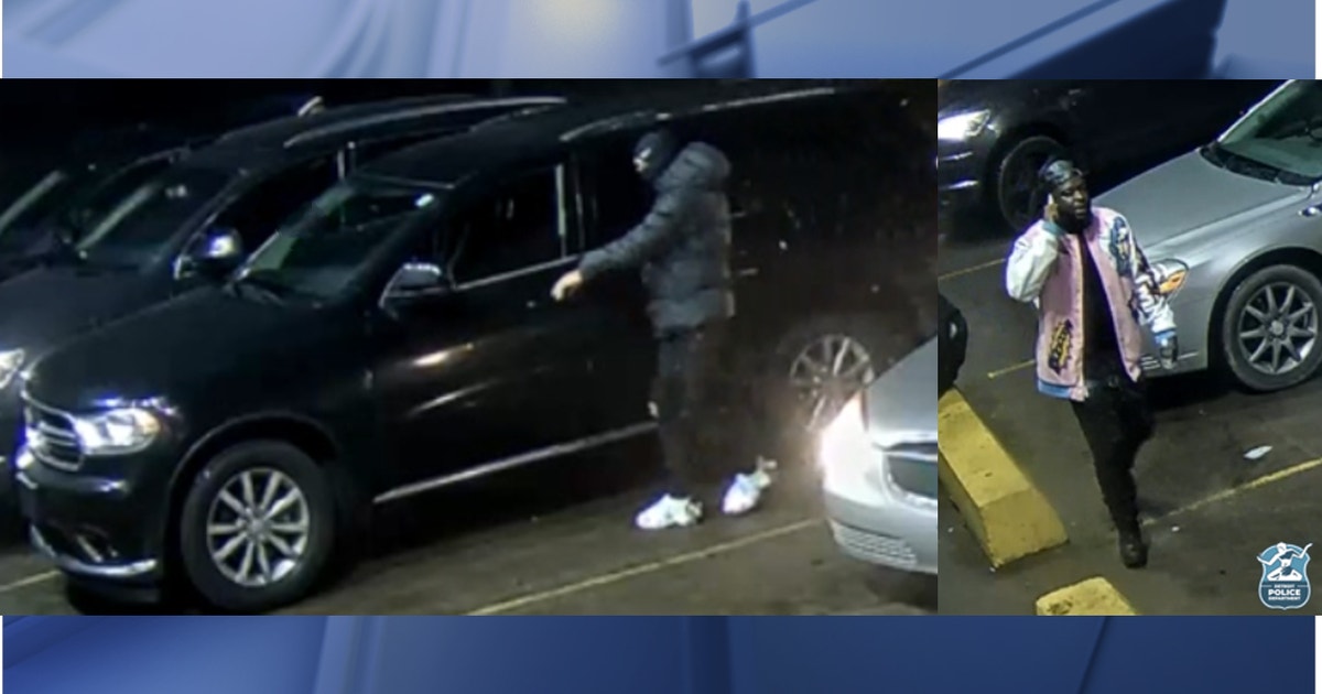 Suspects punch, kick man in head and steal his dog during Detroit ...