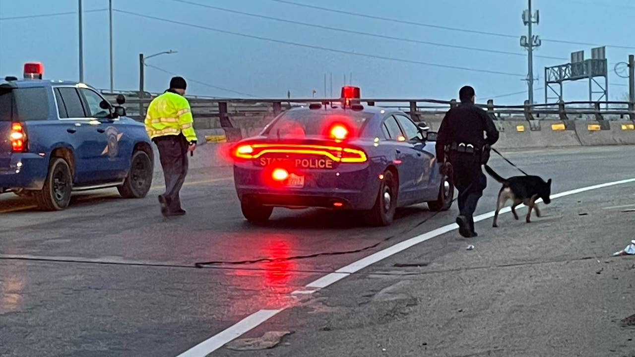 Suspect in Southfield Freeway shooting tried running victim off the ...