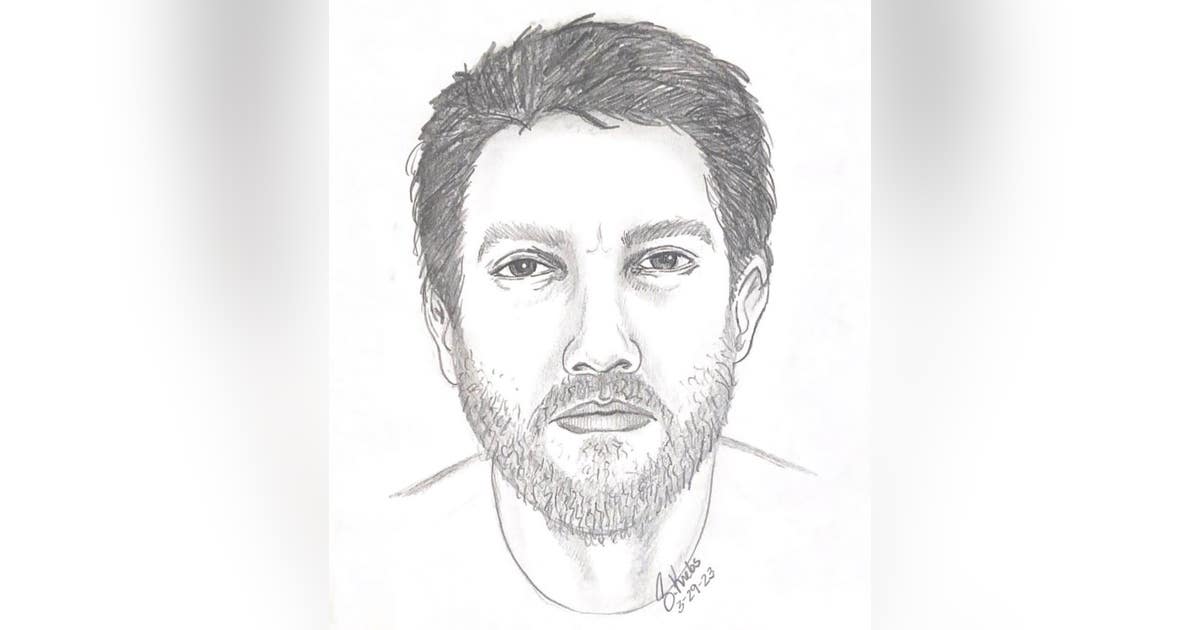 Police release sketch after attempted kidnapping on Michigan State's ...