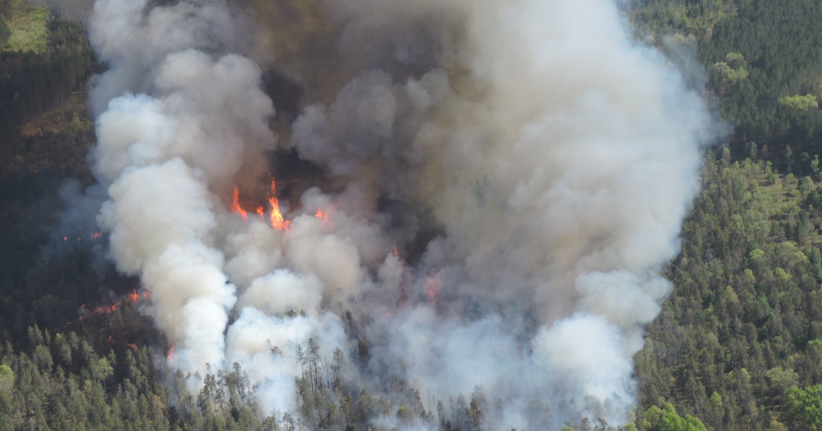 Campfire starts 136-acre wildfire in northern Michigan | FOX 2 Detroit