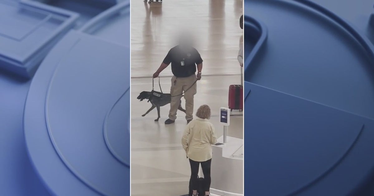 TSA canine handler at DTW under investigation after aggressively ...