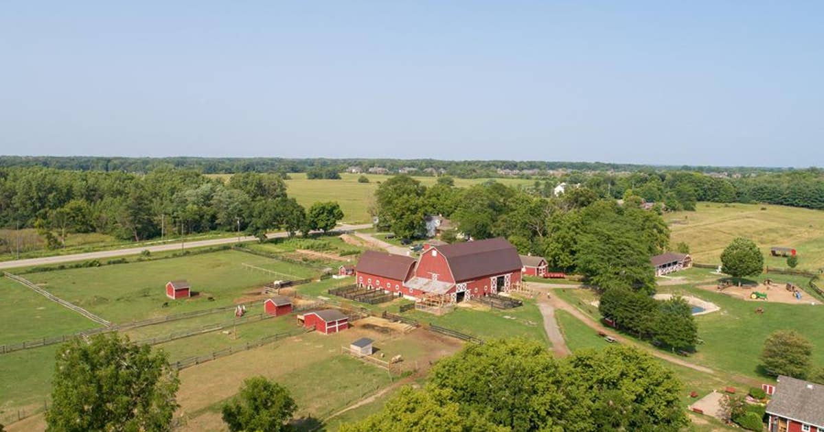 Maybury Farm hosting county fair to raise money for animals | FOX 2 Detroit