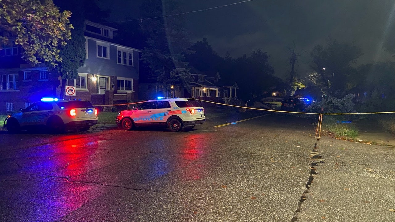 Critical Injuries When Suv Slams Into Fallen Tree In Detroit Fox 2