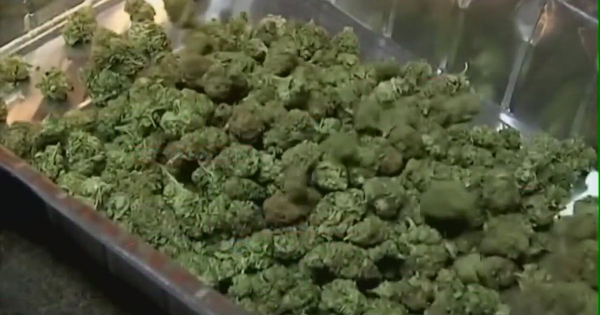 Michigan pot shop owner banned from operating in state after violations ...