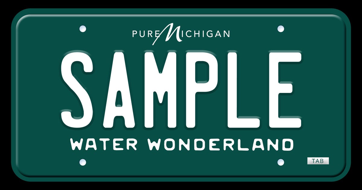 New Michigan driver’s license, plate design coming in 2024 | FOX 2 Detroit