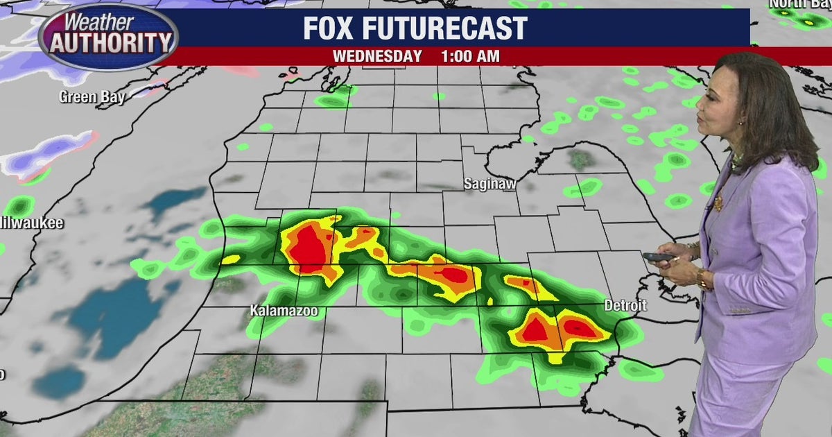 Severe thunderstorms in Southeast Michigan: Strong winds, hail, tornado ...