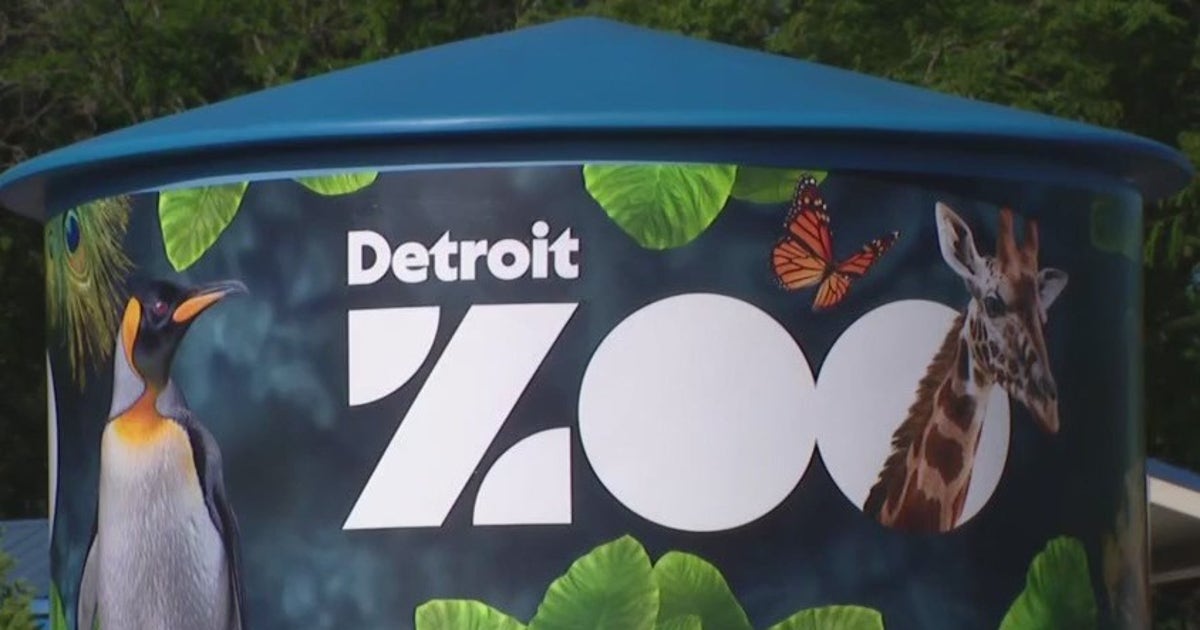 New Detroit Zoo Water Tower Design Unveiled Fox 2 Detroit