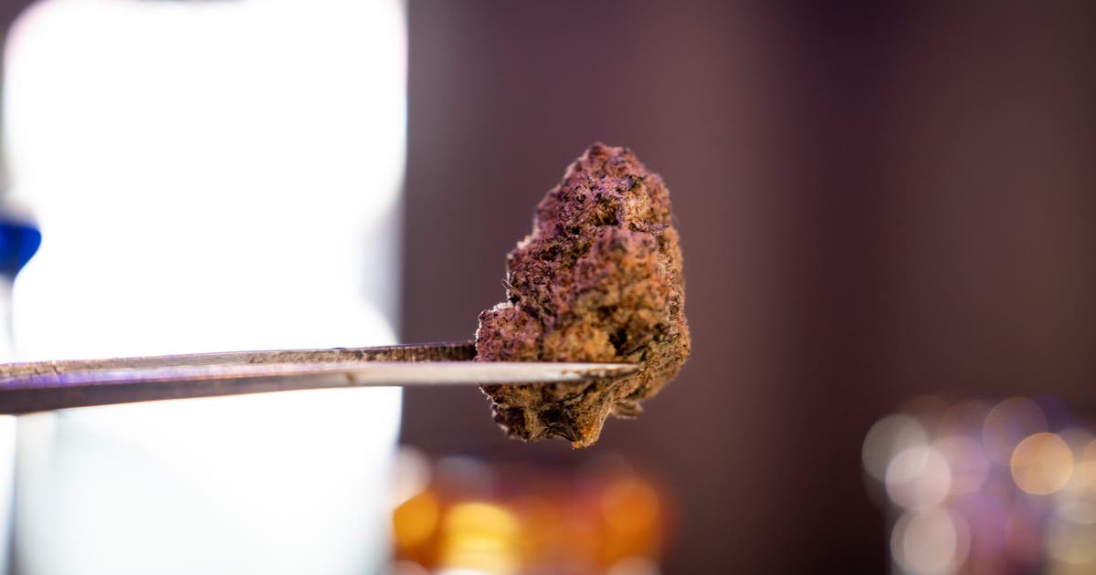 Marijuana dispensaries in Michigan now subject to surprise inspections ...