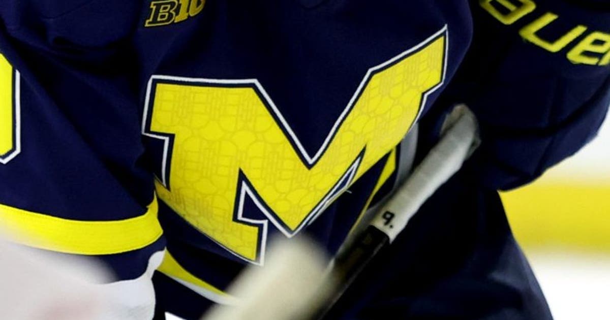 Bid to launch women’s DI hockey at Michigan moving forward, regent ...