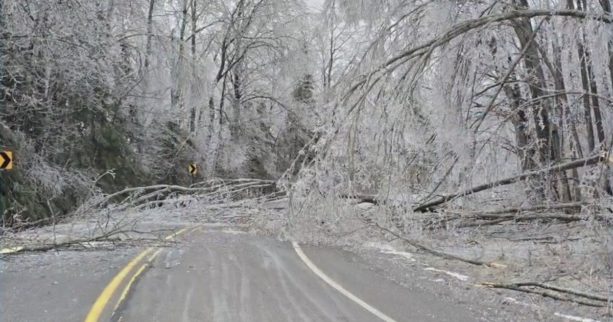 15 Michigan State Parks closed indefinitely due to historic ice storm ...