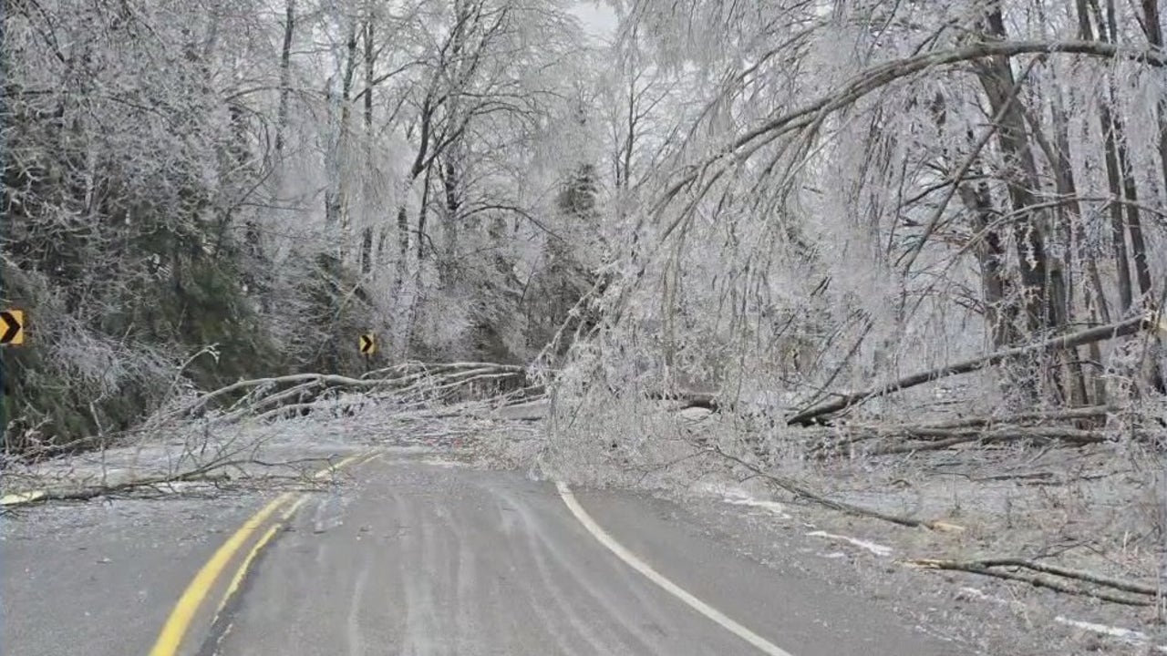 15 Michigan State Parks closed indefinitely due to historic ice storm | FOX 2 Detroit