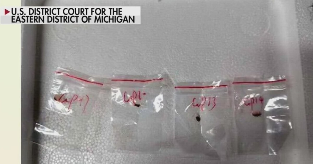 Chinese nationals investigation: MSU expert on alleged smuggled fungus ...