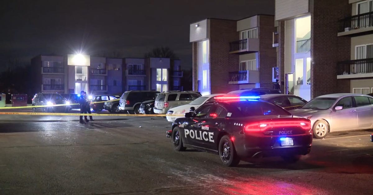 Man killed by girlfriend's relative during argument at Inkster ...