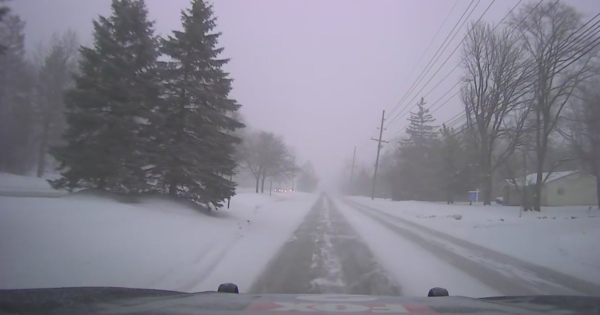 Metro Detroit weather: Temps rise a bit Wednesday, but snow prompts ...