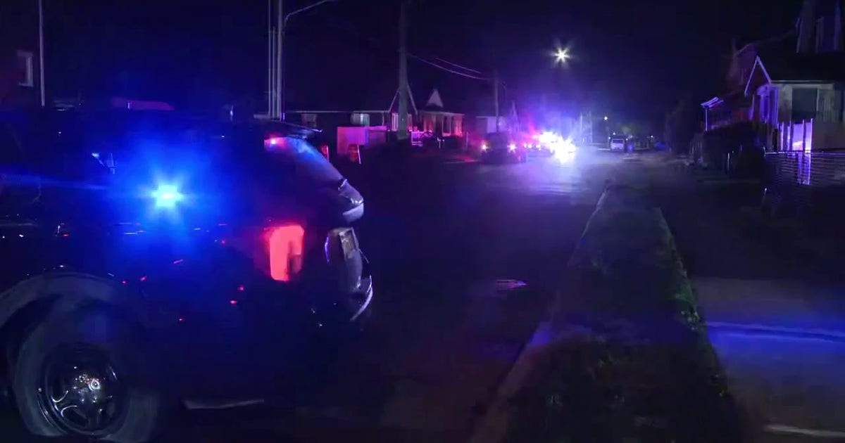 Suspect killed in Ecorse police shooting after domestic violence call ...