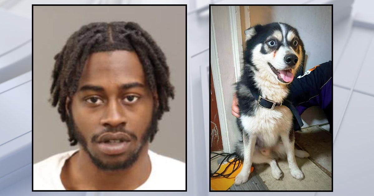 Warren man accused of demanding ransom payment for family's missing dog ...