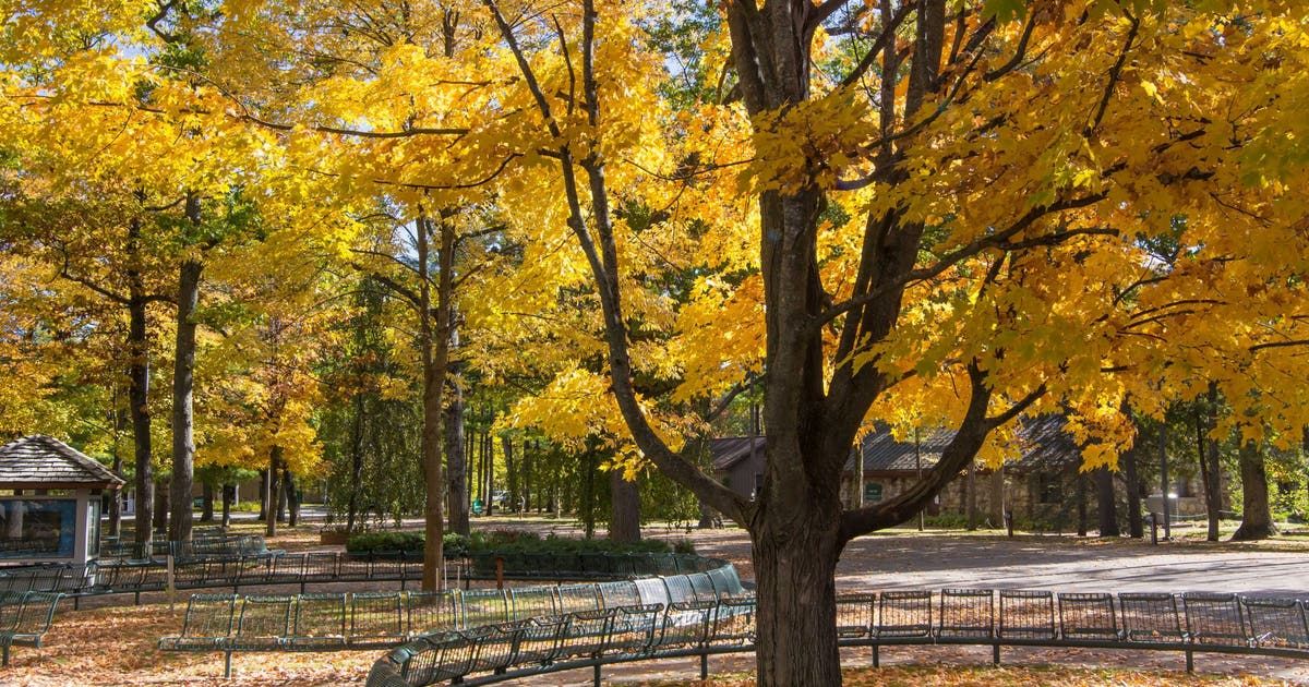 Interlochen Center for the Arts to tear down lodge once named for ...