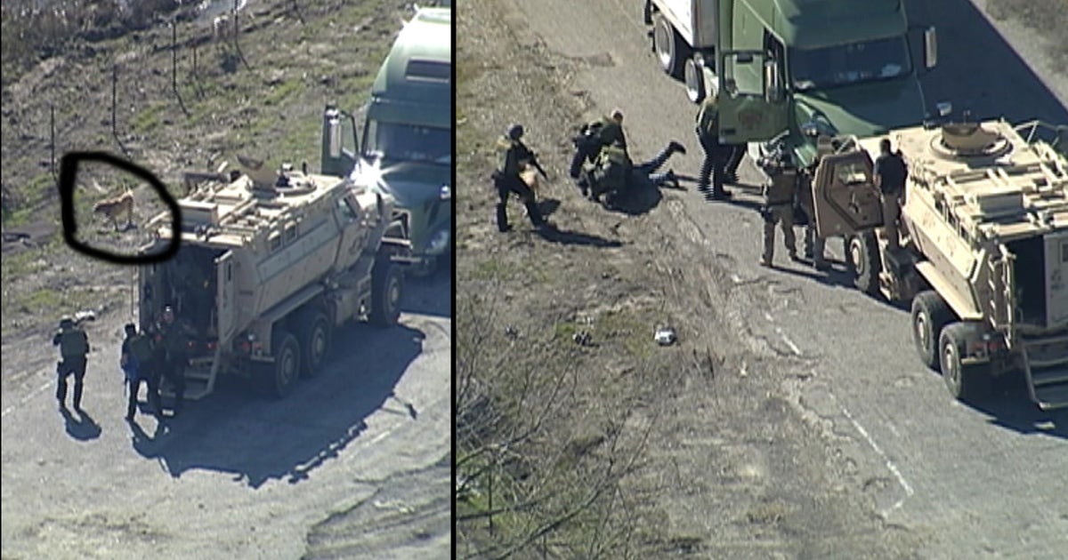 Low-speed 18-wheeler chase along I-30 ends in standoff | FOX 32 Chicago