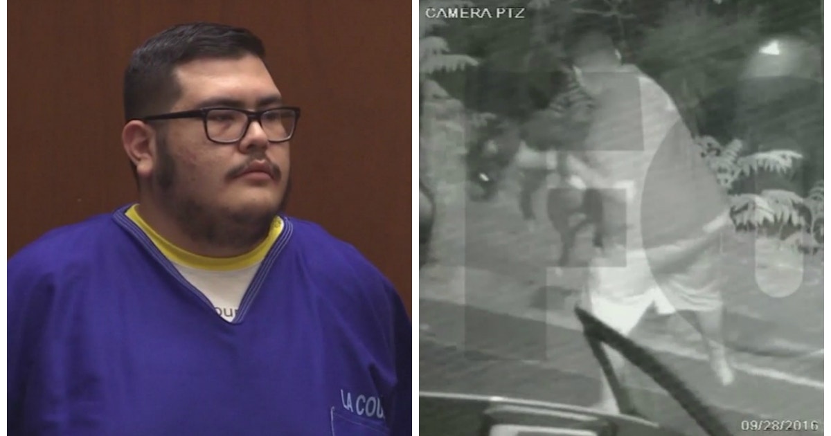 Man caught on video throwing dog off ravine sentenced to five years in ...