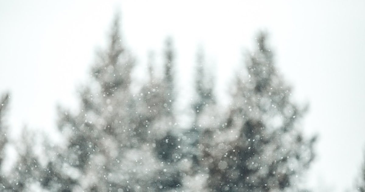 Chicago weather: Weekend brings light snow and freezing drizzle | FOX ...