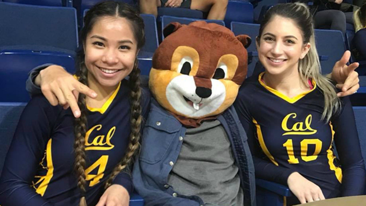 Squirrel wins UC Berkeley student senate seat | FOX 32 Chicago