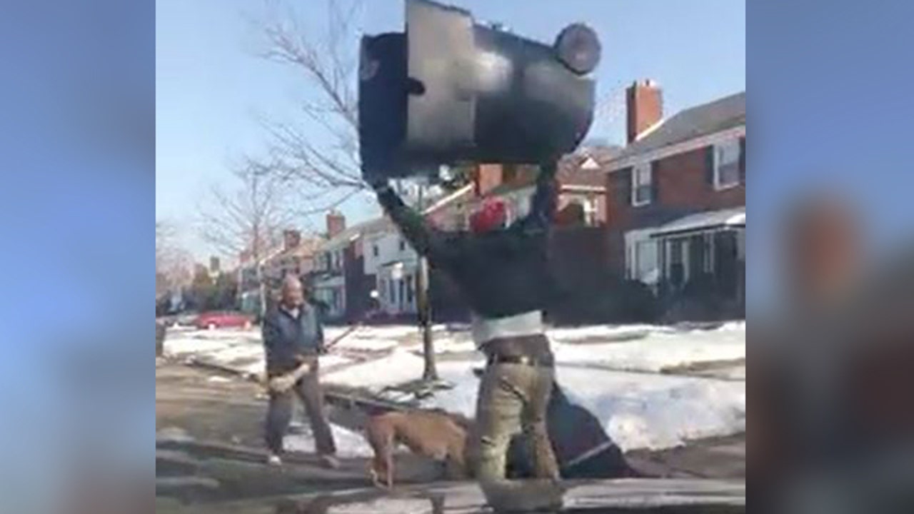 Owner of dog who attacked mail carrier ticketed, animal taken | FOX 32 ...