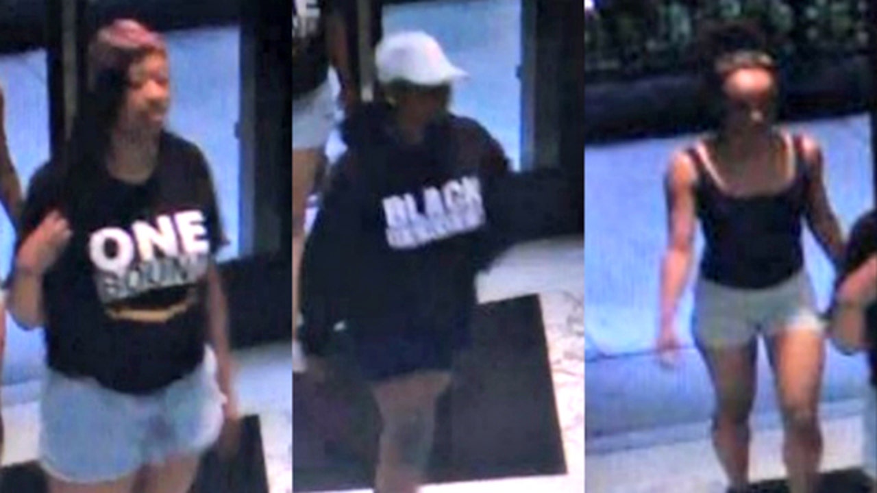Group Stole From Chicago Store Pepper Sprayed Security Guard Cops