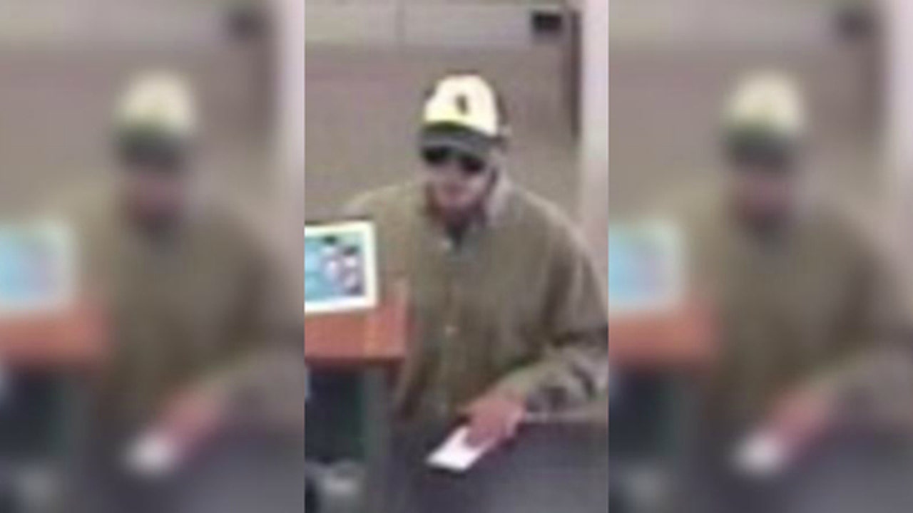 Elmhurst Police Talking To Person Of Interest In Bank Robbery