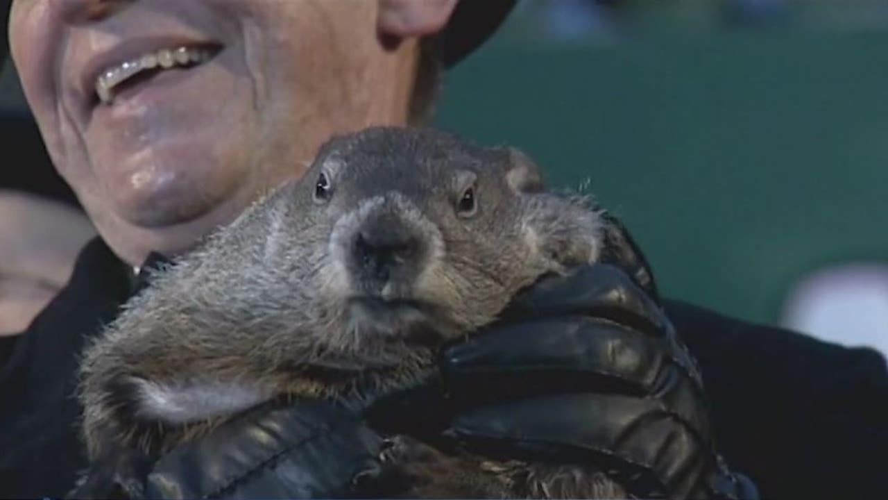 Pennsylvania's Punxsutawney Phil 'predicts' early spring