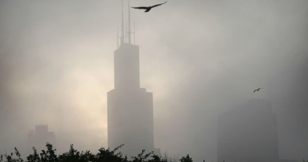 Chicago weather: Dense fog this morning, mild clouds this afternoon ...