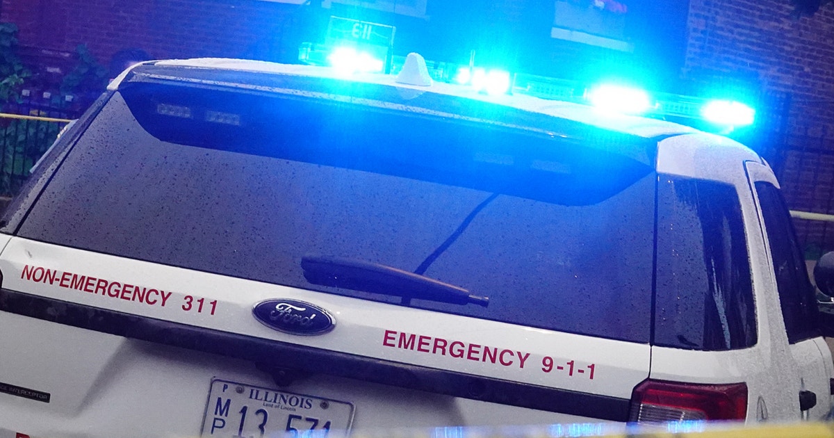 Police warn of string of Chicago business burglaries | FOX 32 Chicago