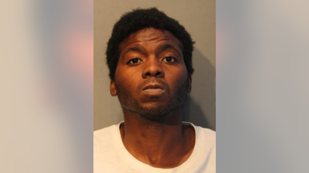 Man Arrested For Assaulting Two Women On Cta Red Line Platform Fox 32