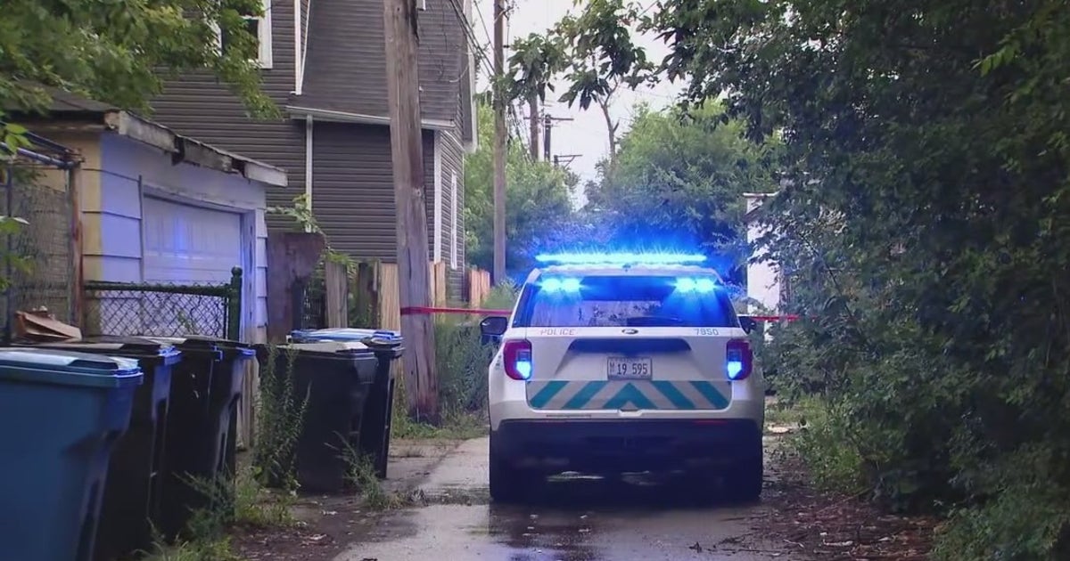 Decomposing body found in garbage on Chicago's South Side: officials ...