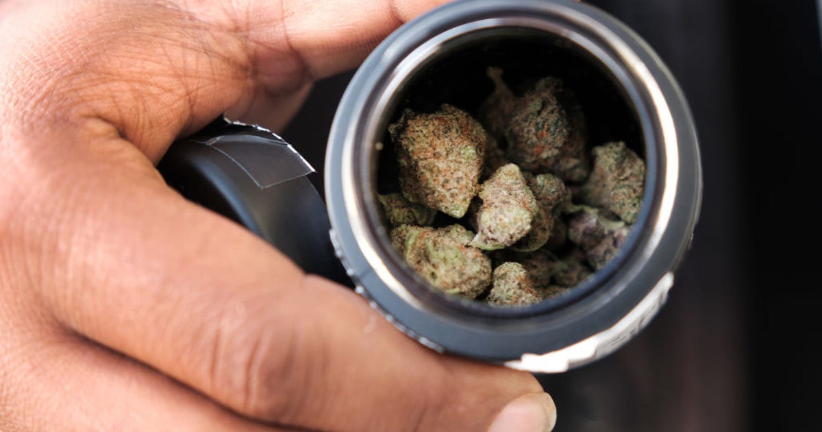 Lawsuit filed to blunt planned dispensary at former Rainforest Cafe ...