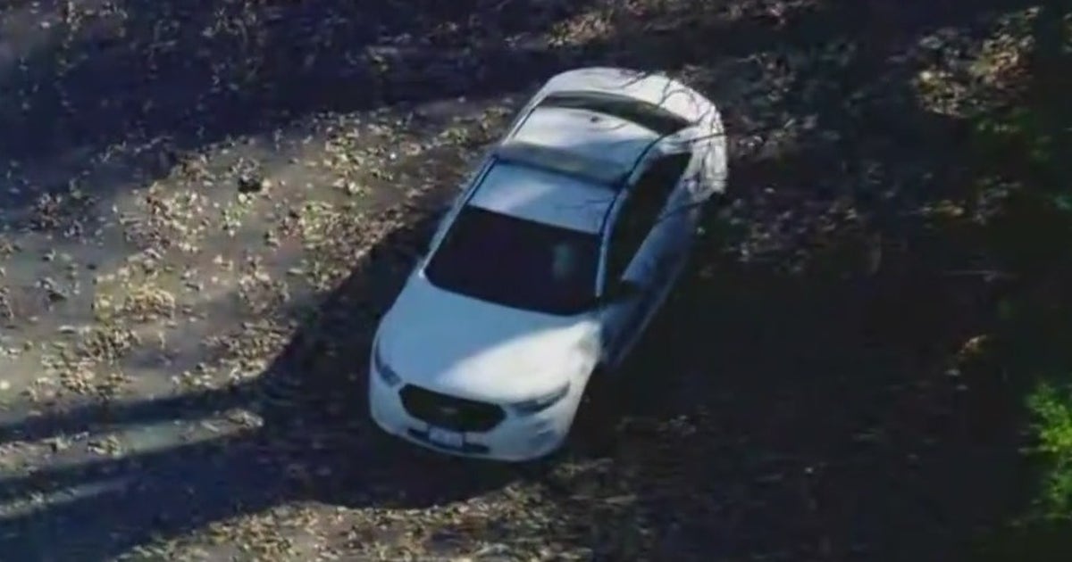 Boy, 16, found dead with gunshot wound to the head in Cook County ...