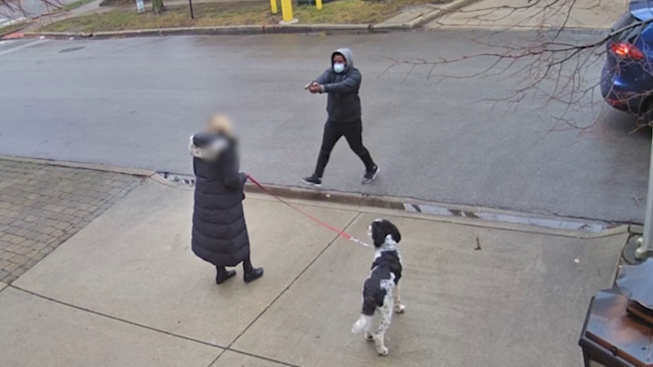 Elderly Chicago Woman Robbed At Gunpoint In Lincoln Park This Cant