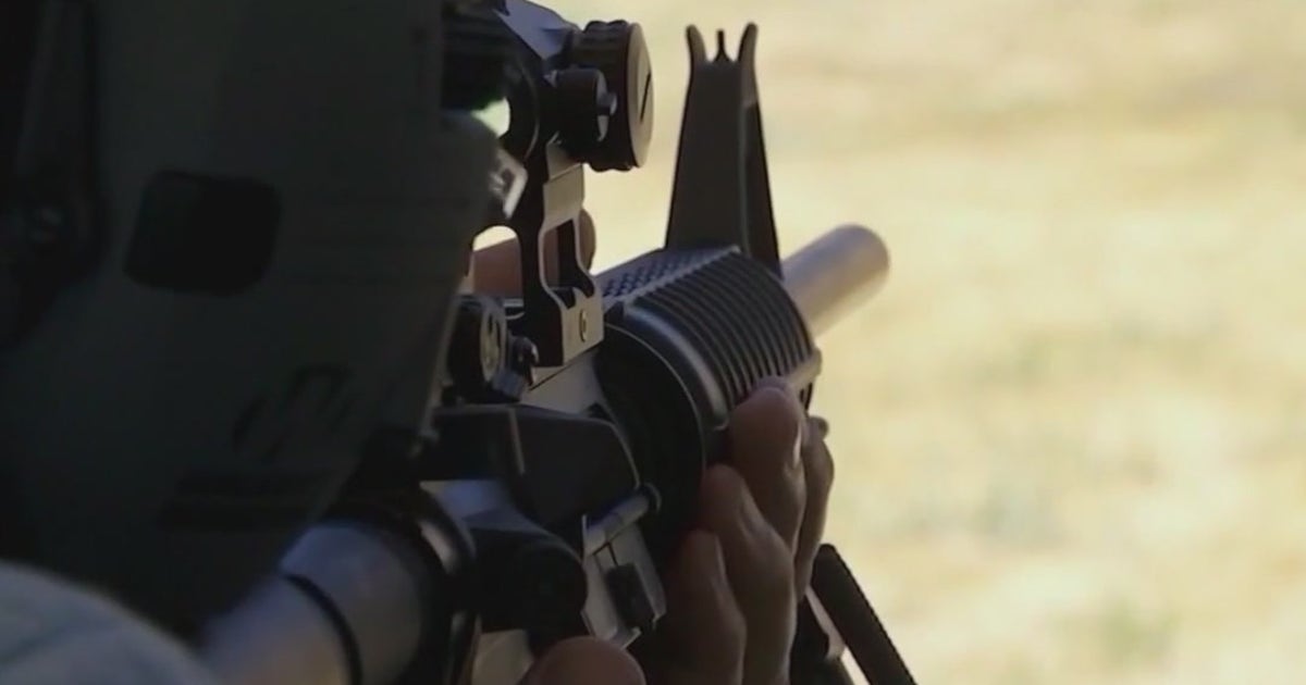 Illinois House Executive Committee passes assault weapons ban | FOX 32 ...