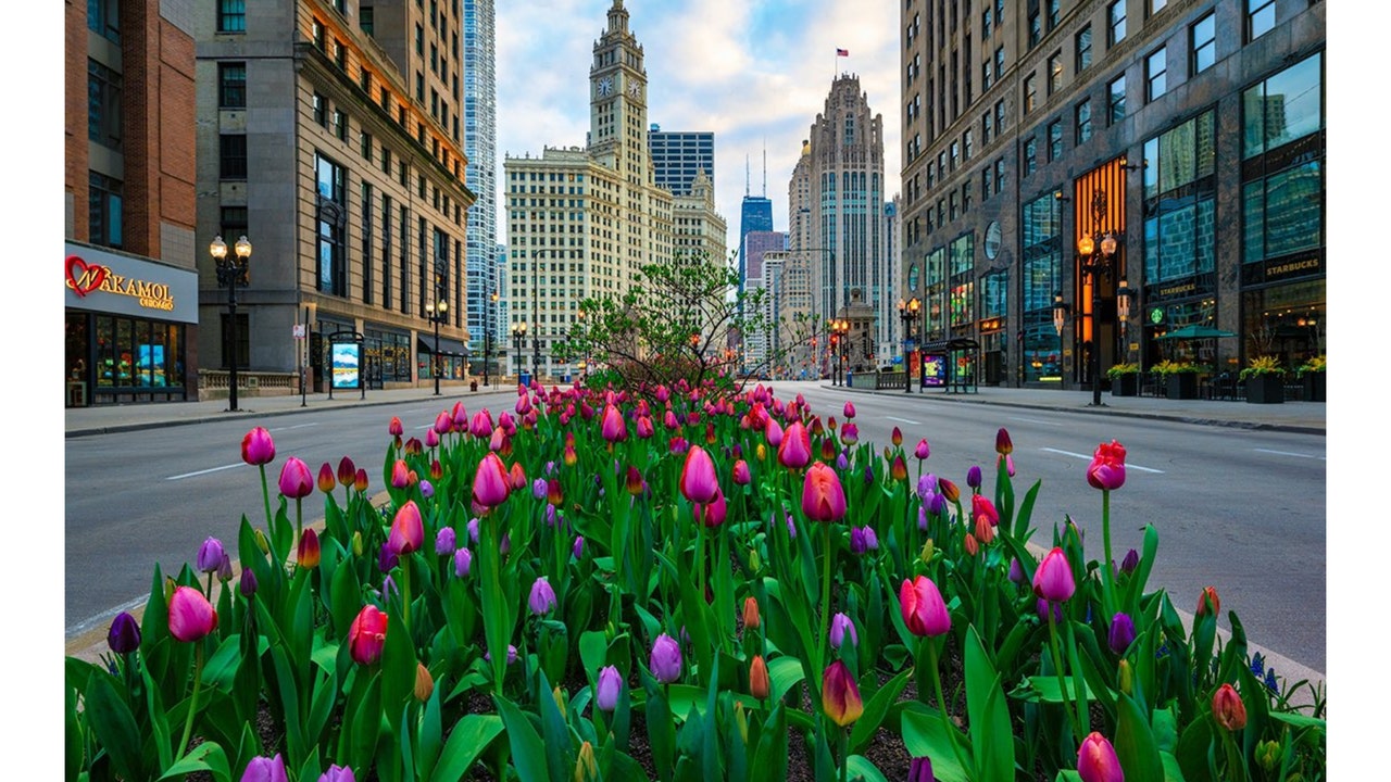 Chicago Weather Forecast Colder Than Usual For The End Of April Fox
