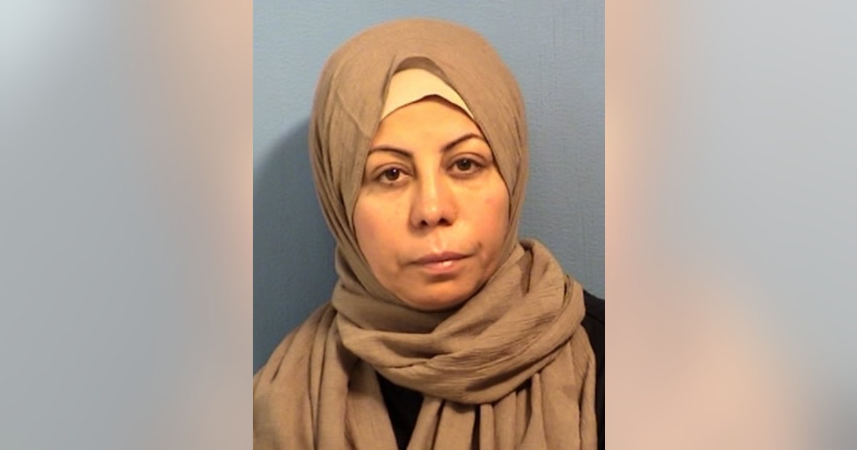 Cook County woman charged with bringing loaded gun into courthouse ...