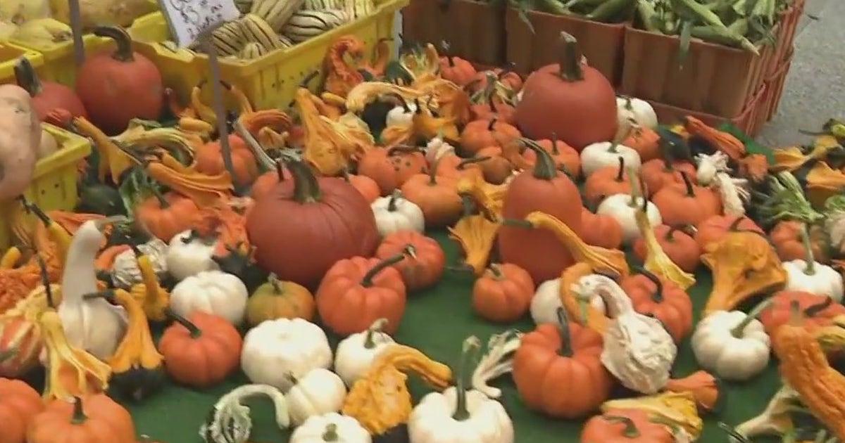 Chicago’s longest running farmers market makes its return to Daley ...