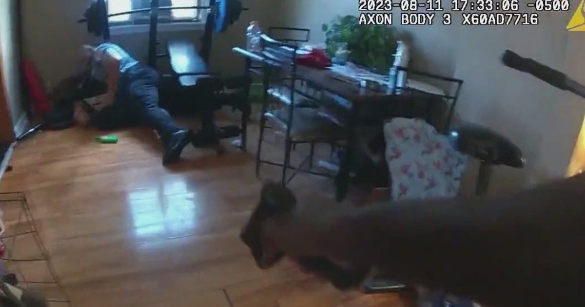 Intense video shows Chicago police, suspect struggle over gun in deadly ...
