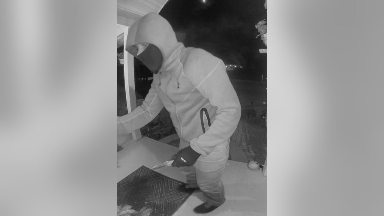 Willowbrook Home Invasion Suspect Punches Homeowner Then Returns With